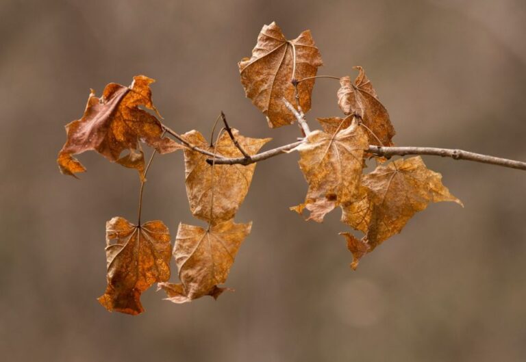 40 Motivational Quotes To Keep Moving Forward - Oldest.org