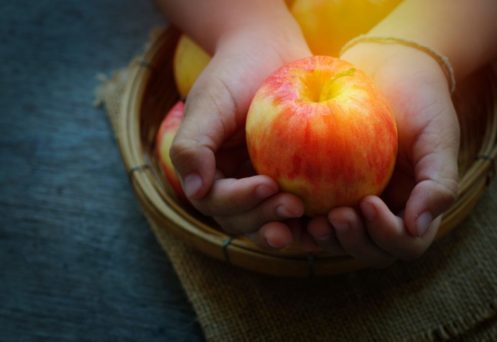 15 Facts About Adam and Eve from the Bible