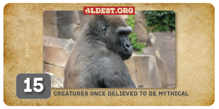 15 Creatures Once Believed to Be Mythical