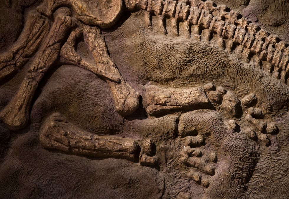 15 Dinosaur “Facts” Scientists Wish You’d Stop Believing