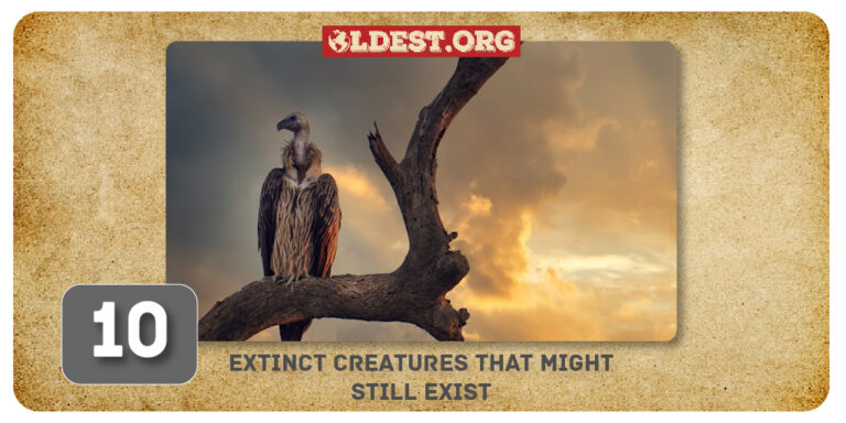 10 Extinct Creatures That Might Still Exist - Oldest.org