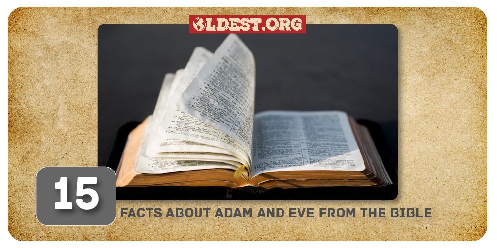 15 Facts About Adam and Eve from the Bible