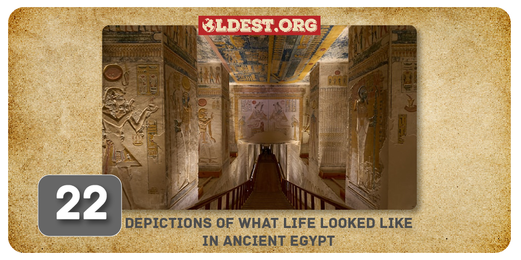 22 Depictions Of What Life Looked Like In Ancient Egypt