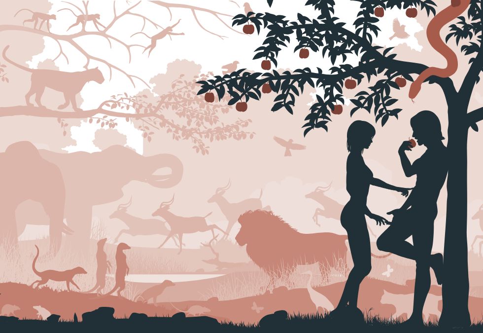 15 Facts About Adam and Eve from the Bible