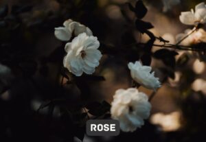 51 Catholic Girl Names That Are Totally Heavenly