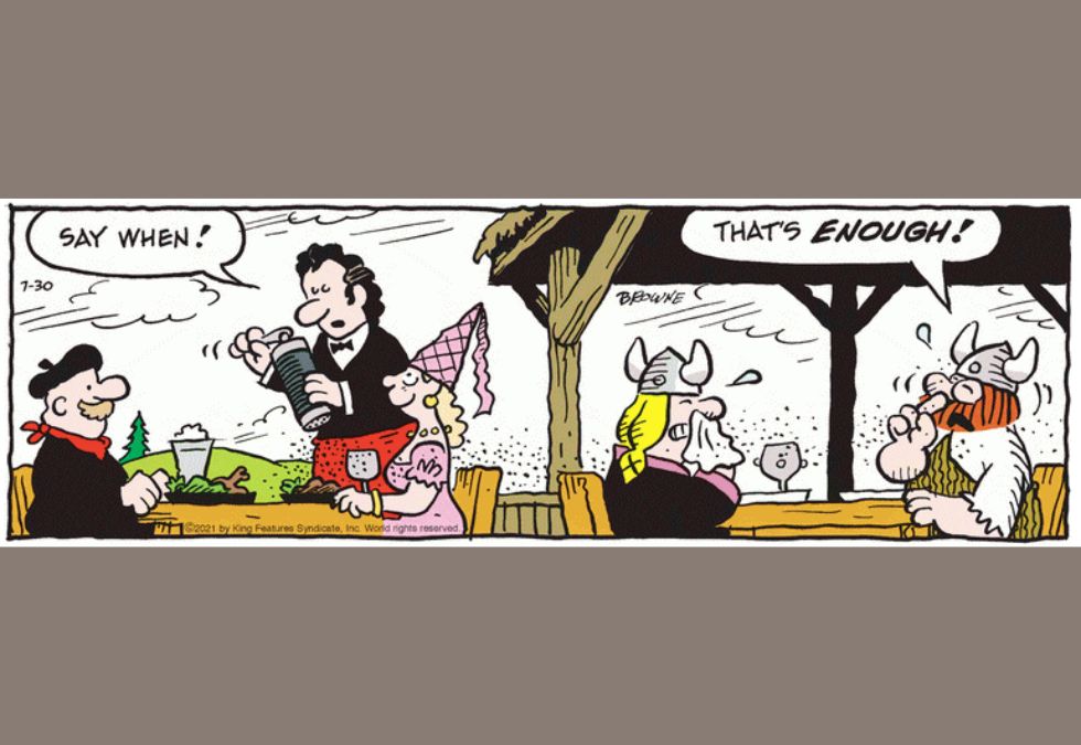 17 Funniest Hagar the Horrible Comics, Ranked