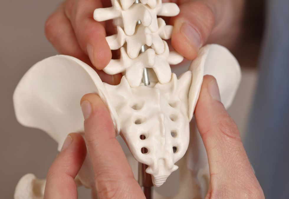 12 Human Body Parts That Baffle Evolutionary Scientists