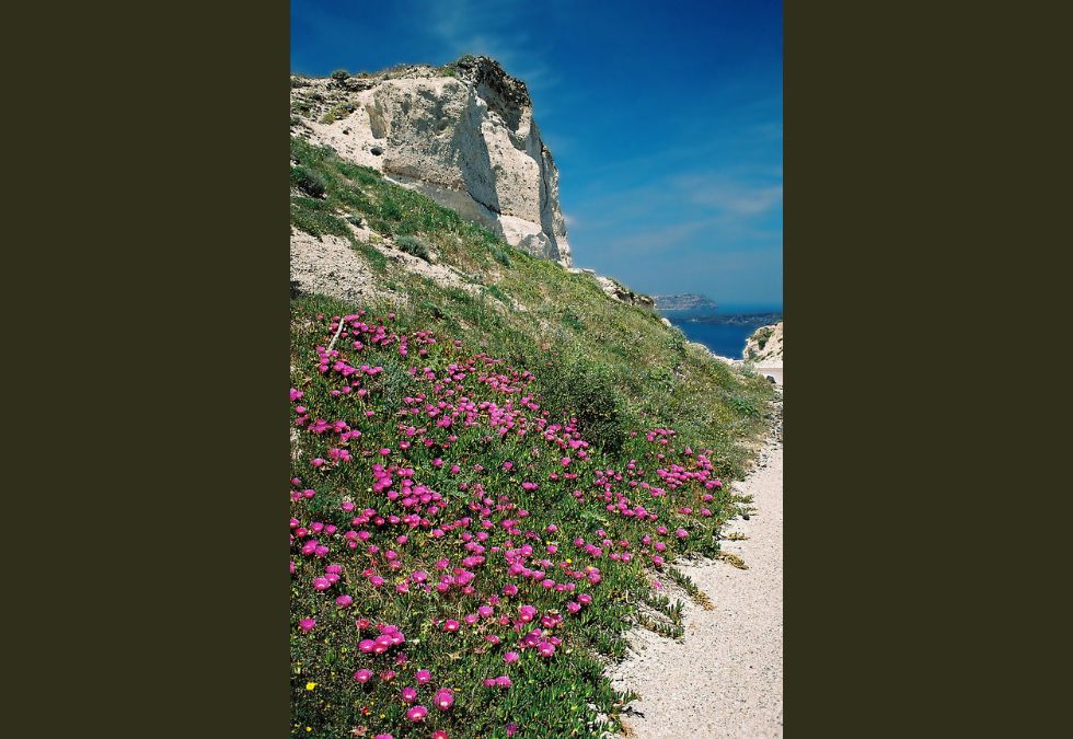 15 Ancient Disasters That Shaped Human Civilization