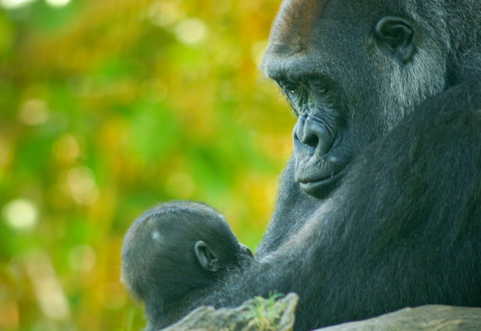 20 Religious Claims That Collide With Modern Science