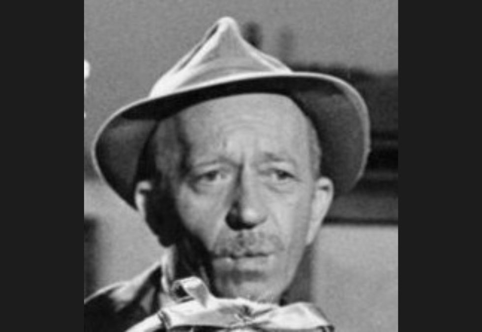 12 '60s TV Characters Who Were Unforgettable – Then Vanished