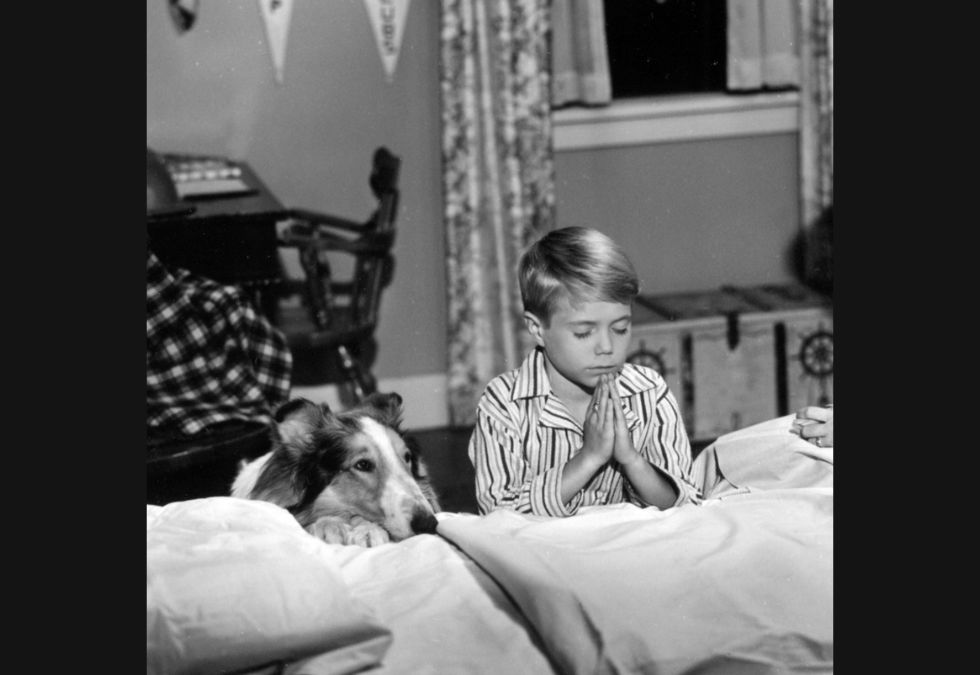 Forgotten Child Stars from the ’60s Who Disappeared
