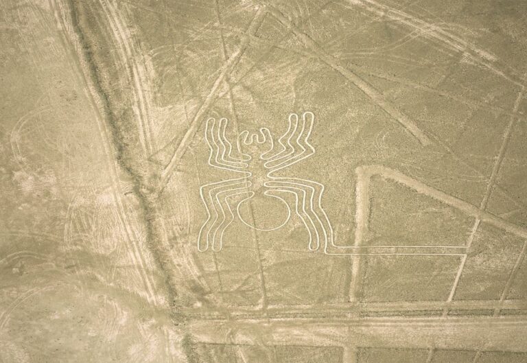 Earth May Have Had an Advanced Civilization Before Humans