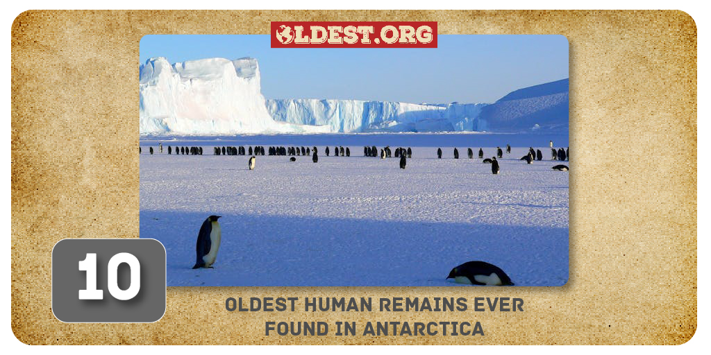 10 Oldest Human Remains Ever Found In Antarctica