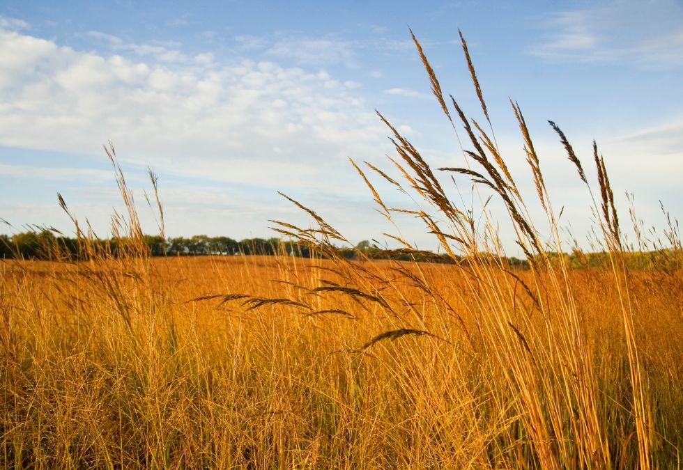 15 Things Schools Never Taught You About Prehistoric America