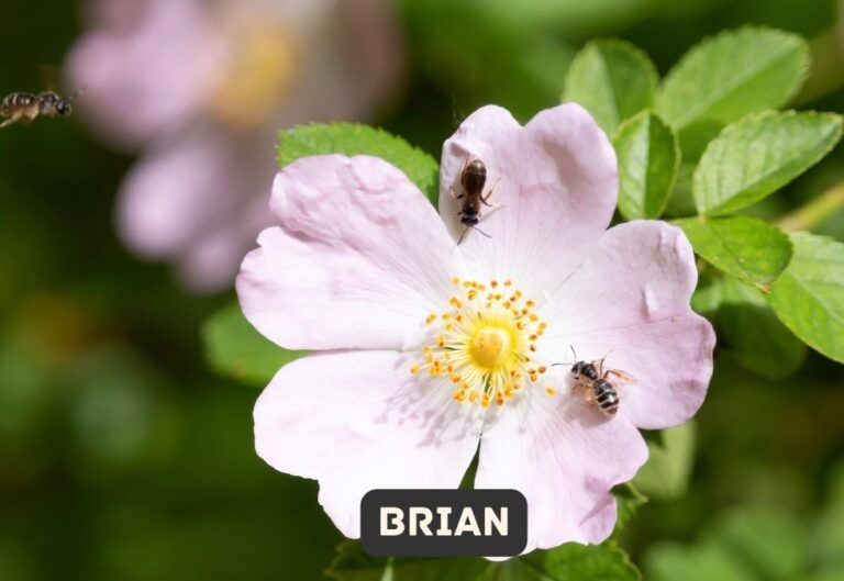 The 50 Most Common Baby Names For Baby Boomers