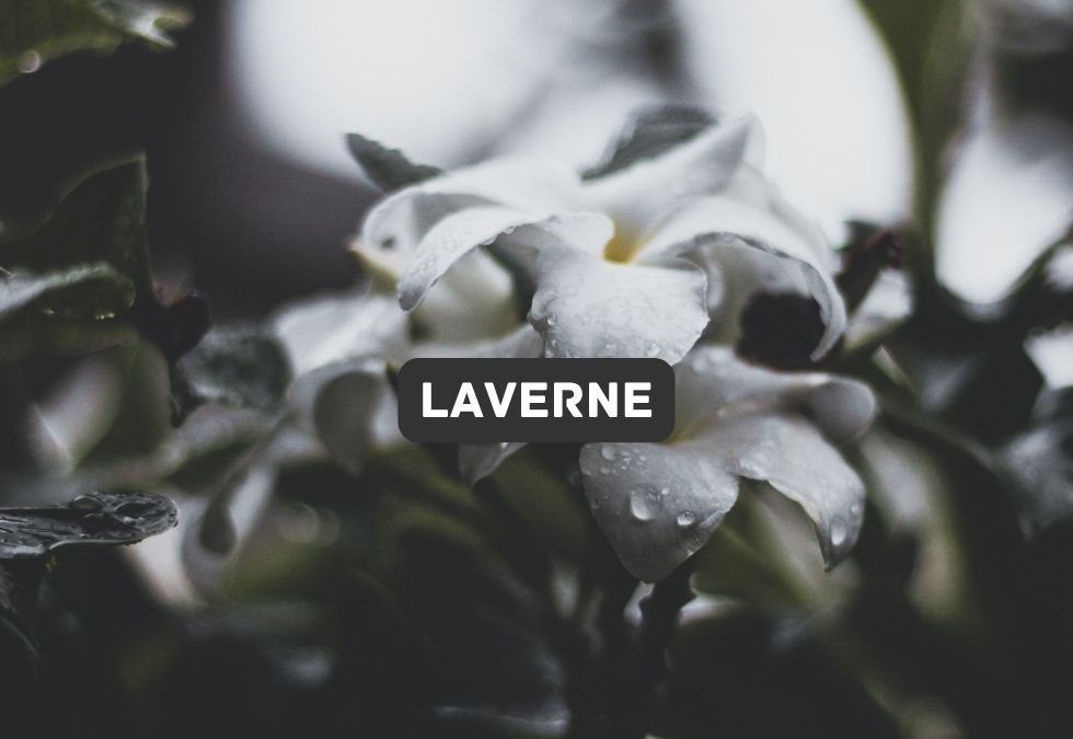 20 Baby Boomer Names That Have Faded into Nostalgia