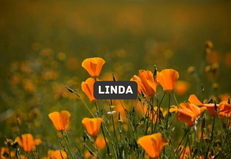 The 50 Most Common Baby Names For Baby Boomers