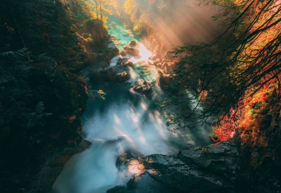 Photos of Nature Clicked So Good They Feel Too Good to Be True