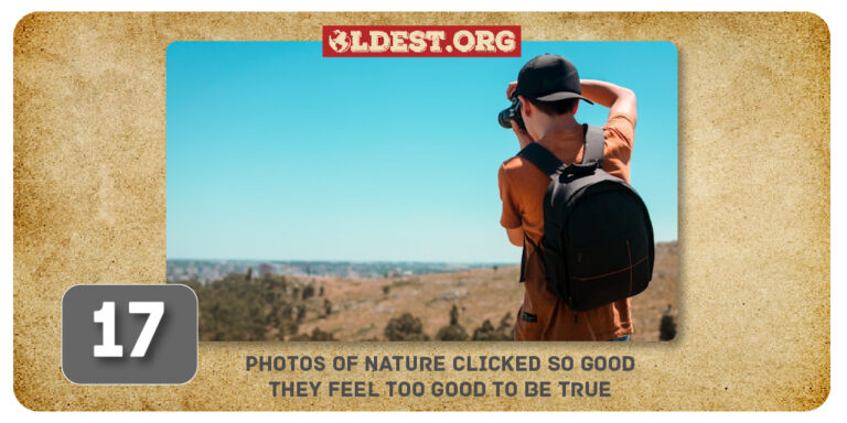Photos of Nature Clicked So Good They Feel Too Good to Be True
