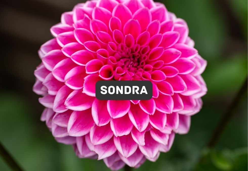 20 Baby Boomer Names That Have Faded into Nostalgia