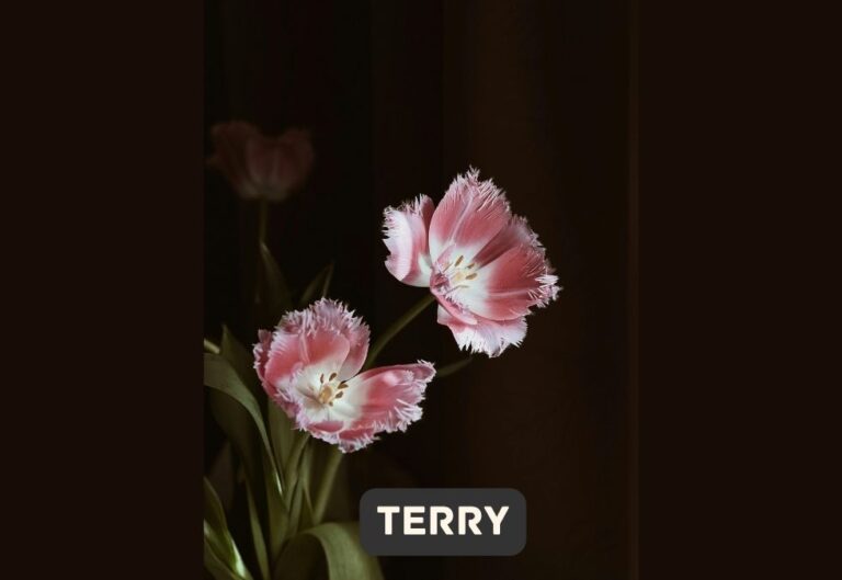 The 50 Most Common Baby Names For Baby Boomers