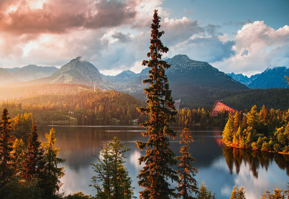 Photos of Nature Clicked So Good They Feel Too Good to Be True