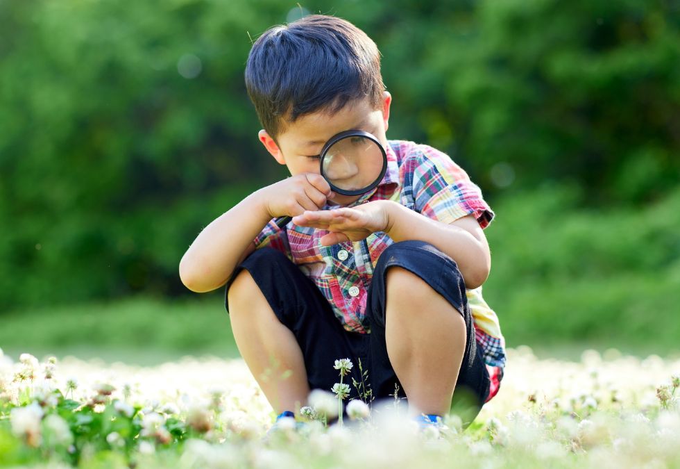 15 Signs Someone Isn't As Smart As They Claim