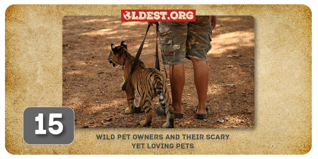 15 Wild Pet Owners And Their Scary Yet Loving Pets