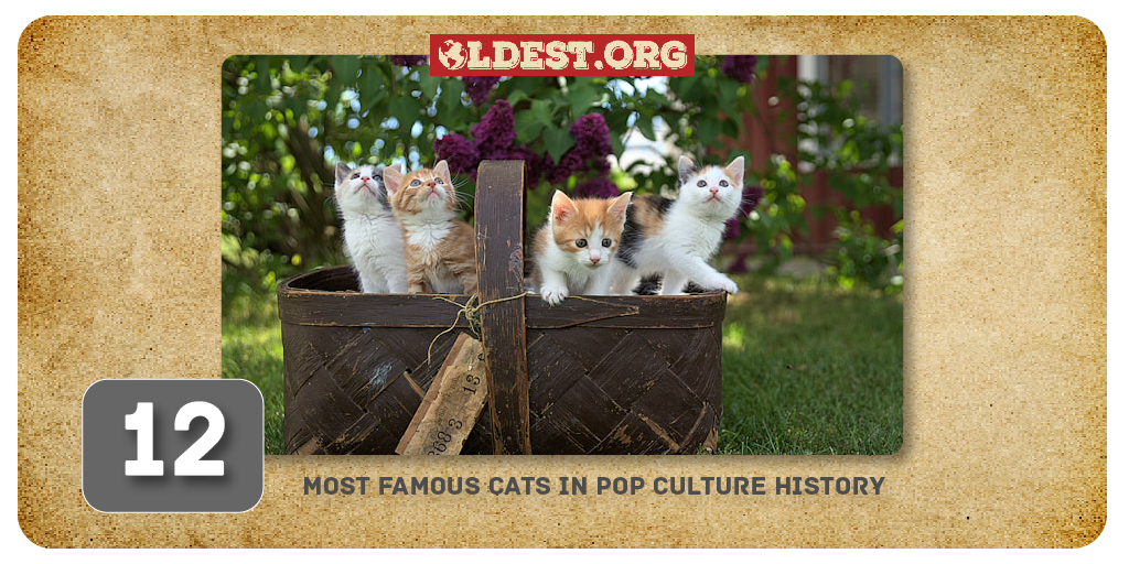 The 12 Most Famous Cats In Pop Culture History - Oldest.org