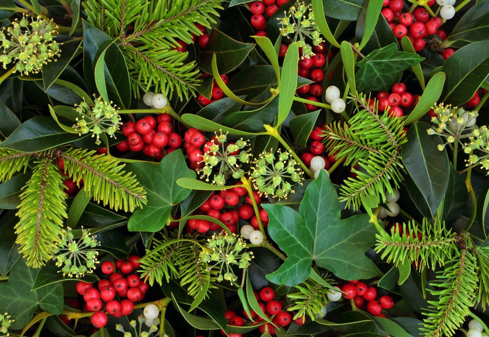 21 Christmas Myths You Probably Believed to Be True Till Now