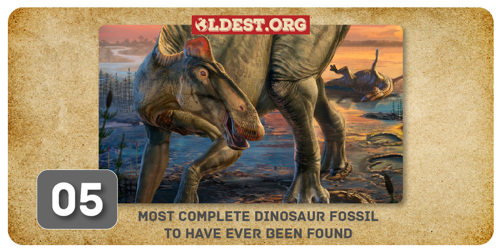 Most Complete Dinosaur Fossil To Have Ever Been Found