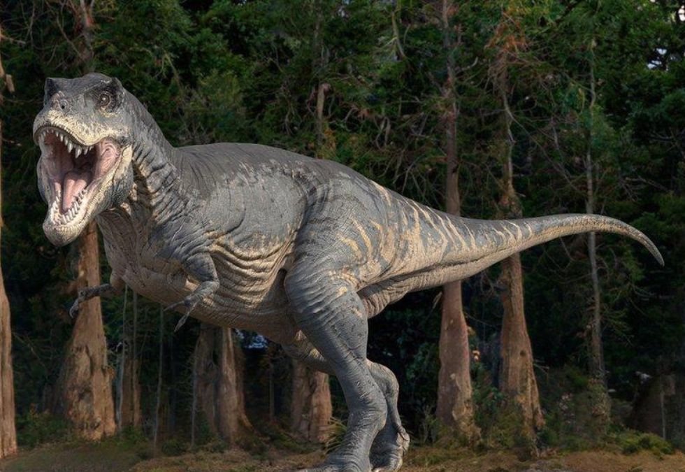 Most Complete Dinosaur Fossil To Have Ever Been Found