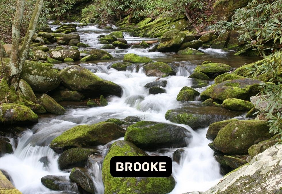 40 Girl Names Starting With B