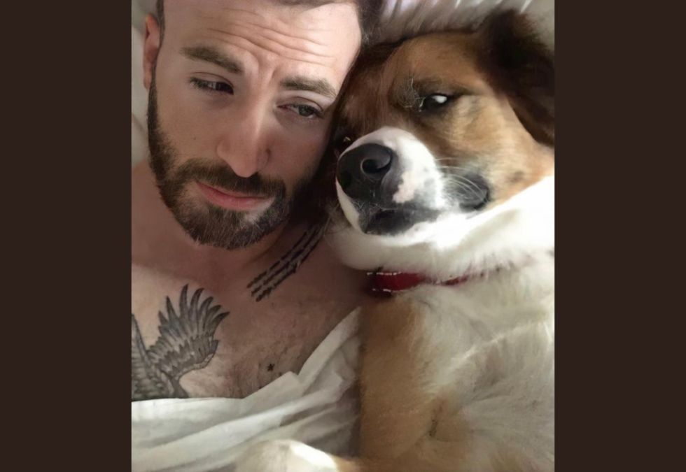 20 Photos Of Famous People And Their Pets