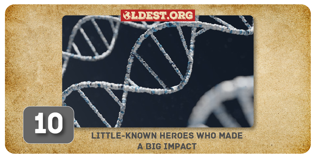 23 Little-Known Heroes Who Made a Big Impact