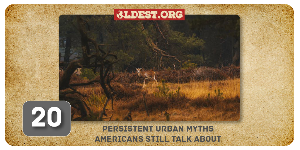 20 Persistent Urban Myths Americans Still Talk About