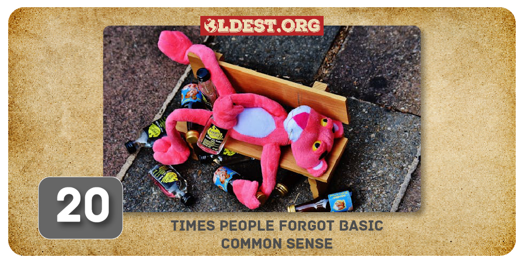 20 Times People Forgot Basic Common Sense