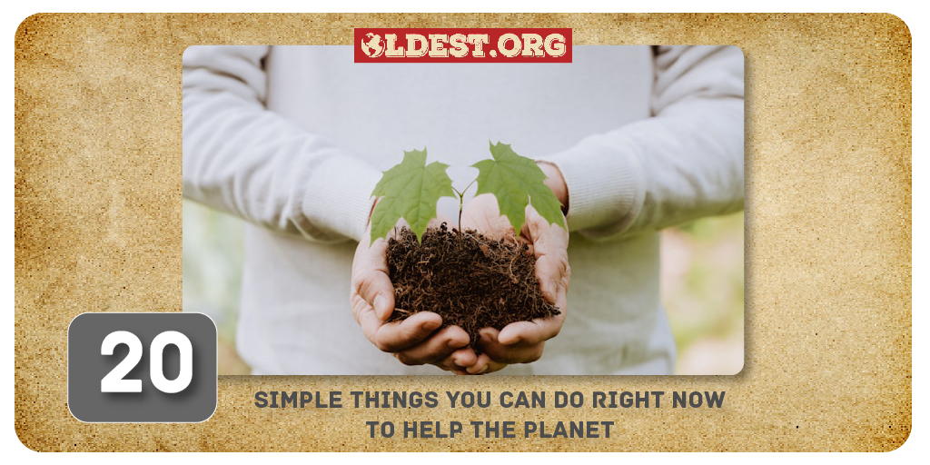 20 Simple Things You Can Do Right Now to Help the Planet