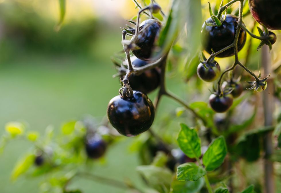 20 Simple Things You Can Do Right Now to Help the Planet