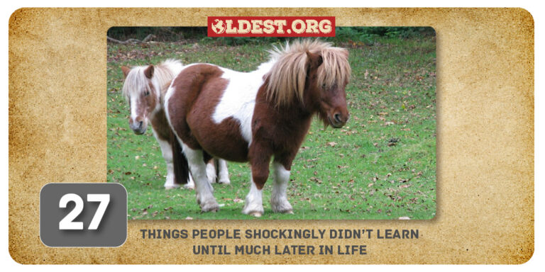 27 Things People Shockingly Didn’t Learn Until Much Later in Life